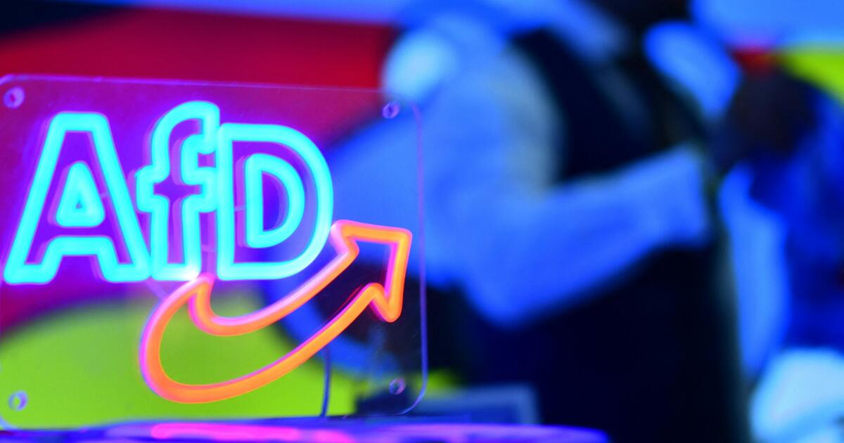 Das Wahlprogramm der AfD | 1&1