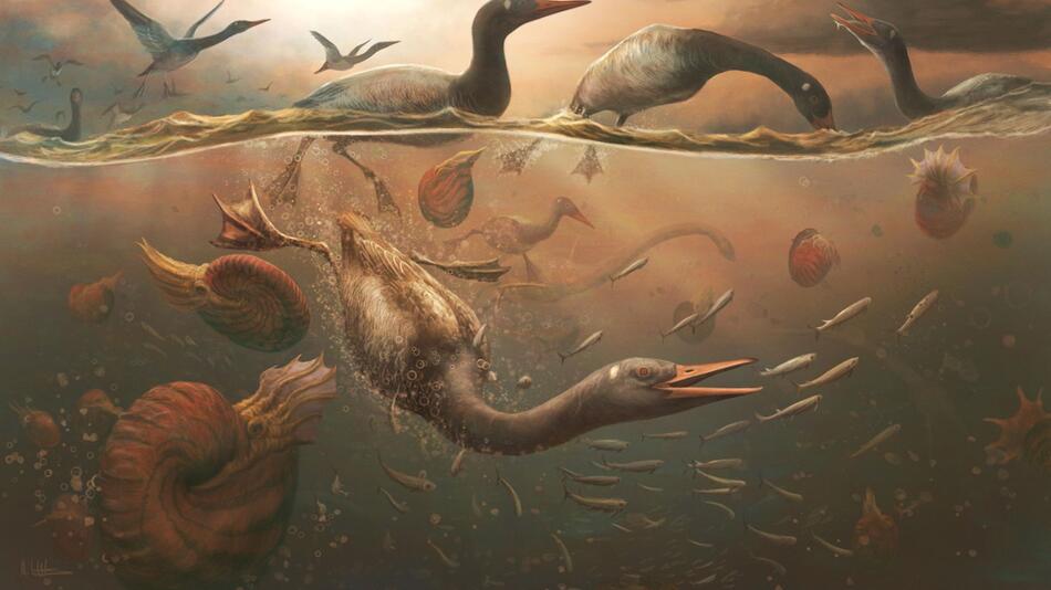 Der Vogel, der das Dino-Sterben überlebte | 1&1