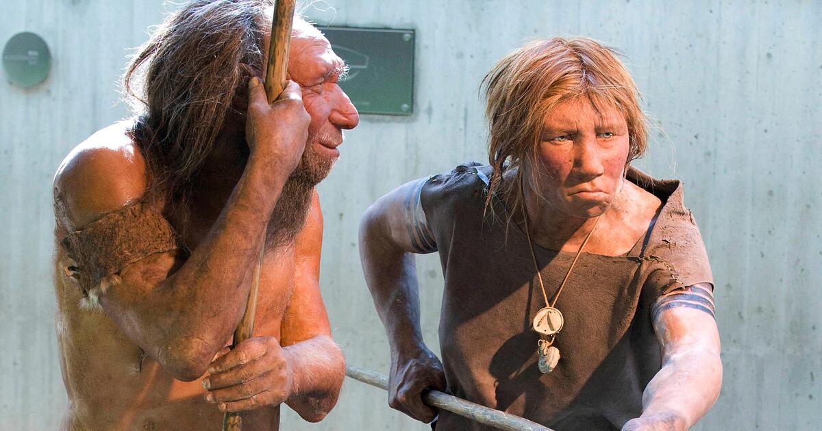 Warum moderne Menschen so anders aussehen als Neandertaler - Video | 1&1