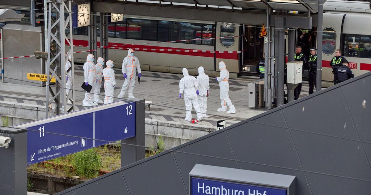 Schwerstverletzte nach Messerangriff im Hamburger Hauptbahnhof: Infos zur Täterin | 1&1