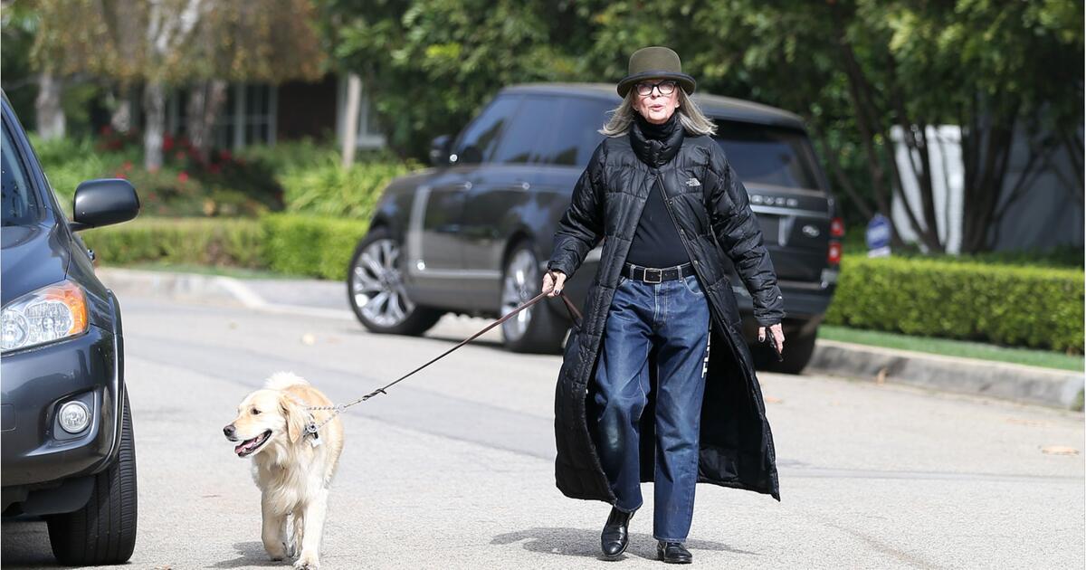 Diane Keaton hinterlässt Hund Reggie ein Millionen-Erbe - Video | 1&1