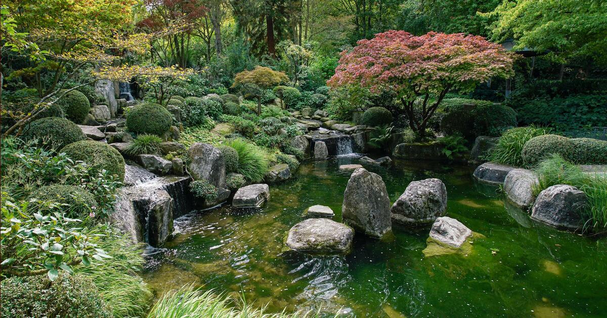 Grüne Refugien: Deutschlands schönste Botanische Gärten | 1&1