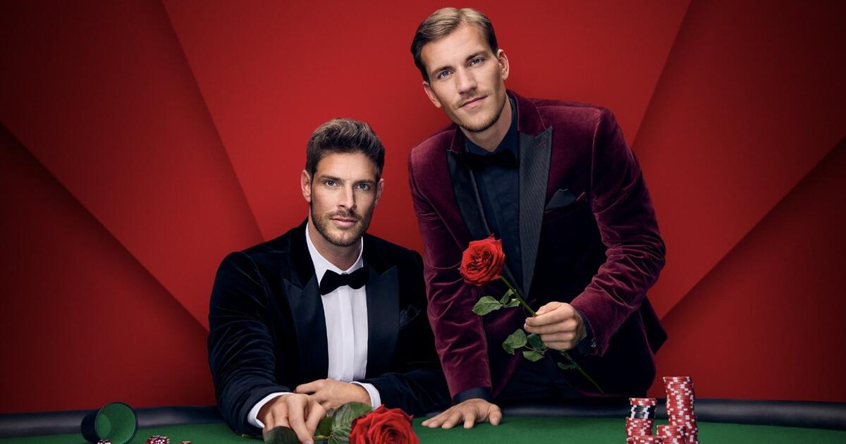 "Die Bachelors": Pikante Enthüllung beim Wiedersehen | 1&1