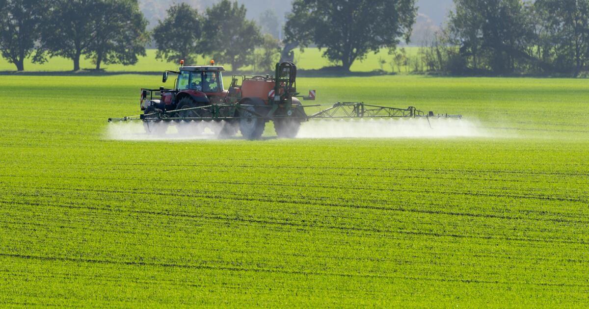 Warum Lachgas eine große Gefahr für das Klima ist | 1&1