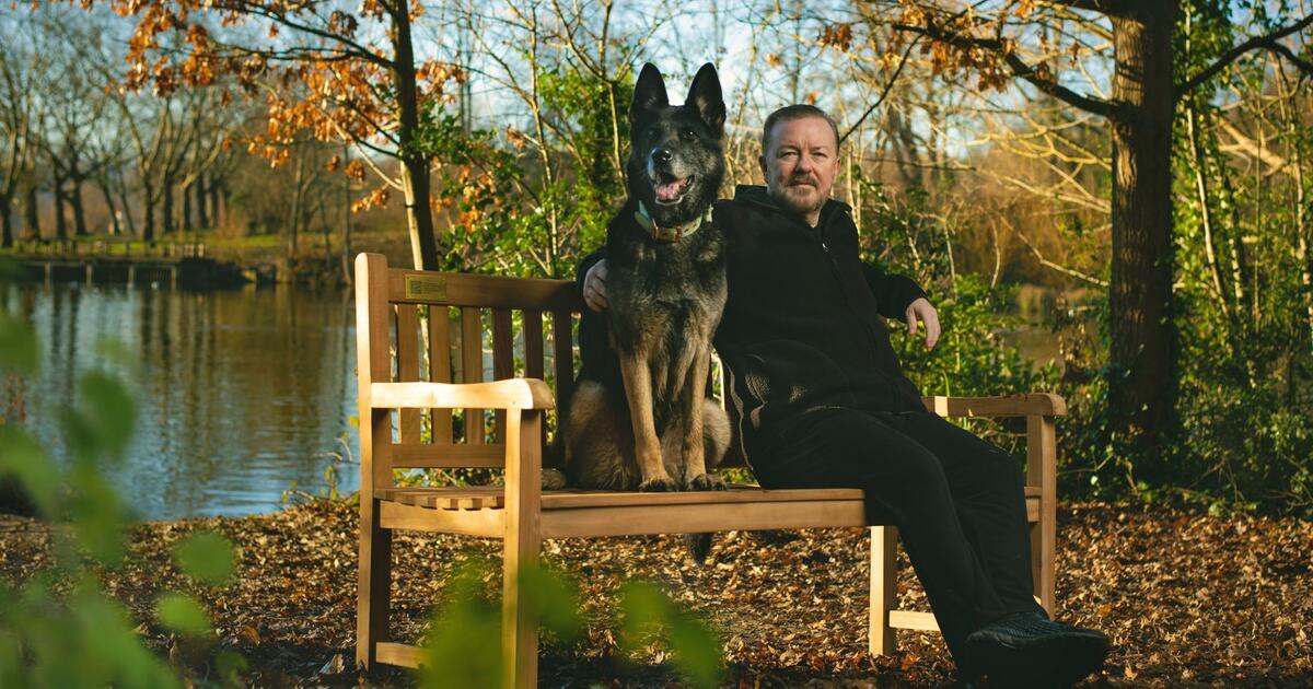 Ricky Gervais trauert um "After Life"-Hündin | 1&1