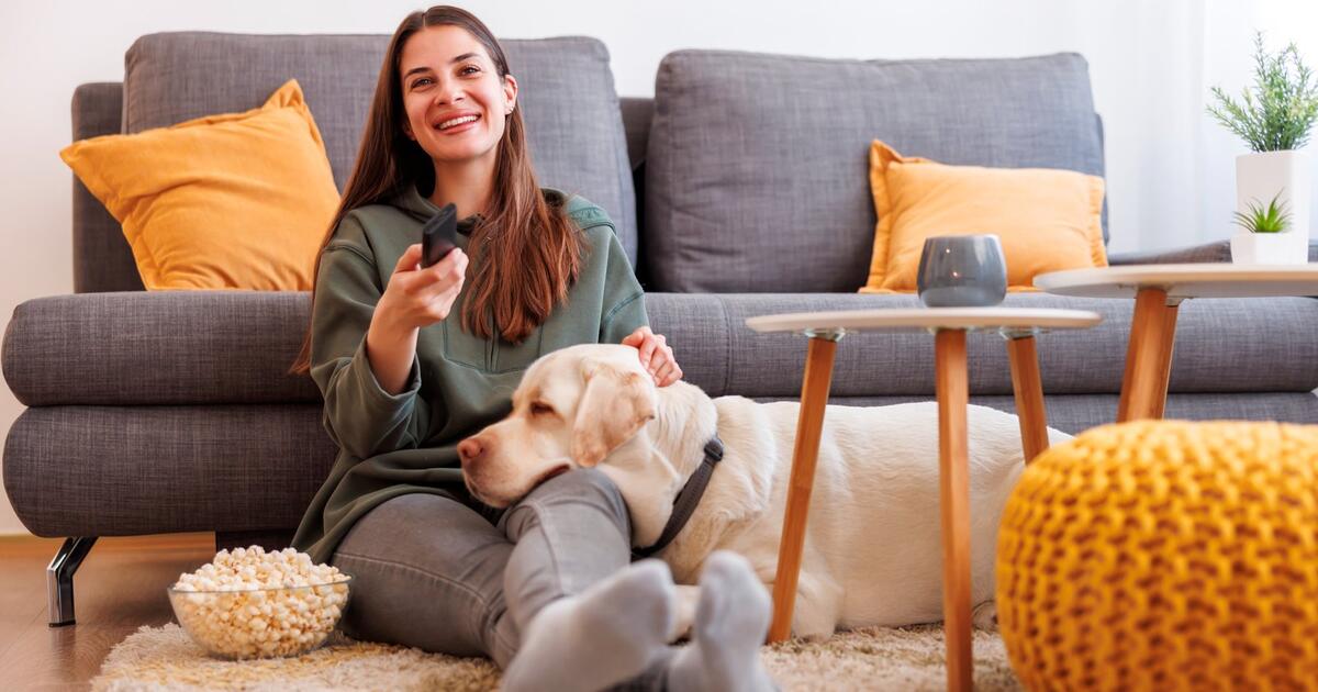 Überarbeitete Mediathek: ZDF präsentiert neues Streaming-Portal | 1&1