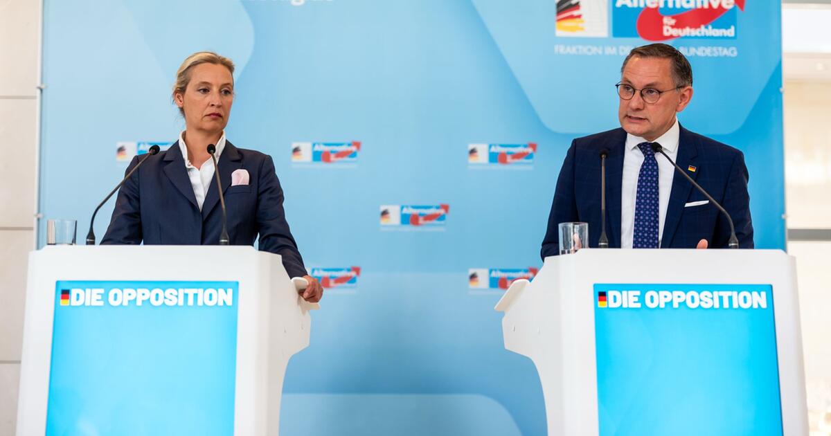 Einstufung als Verdachtsfall: AfD kassiert Niederlage vor Gericht | 1&1