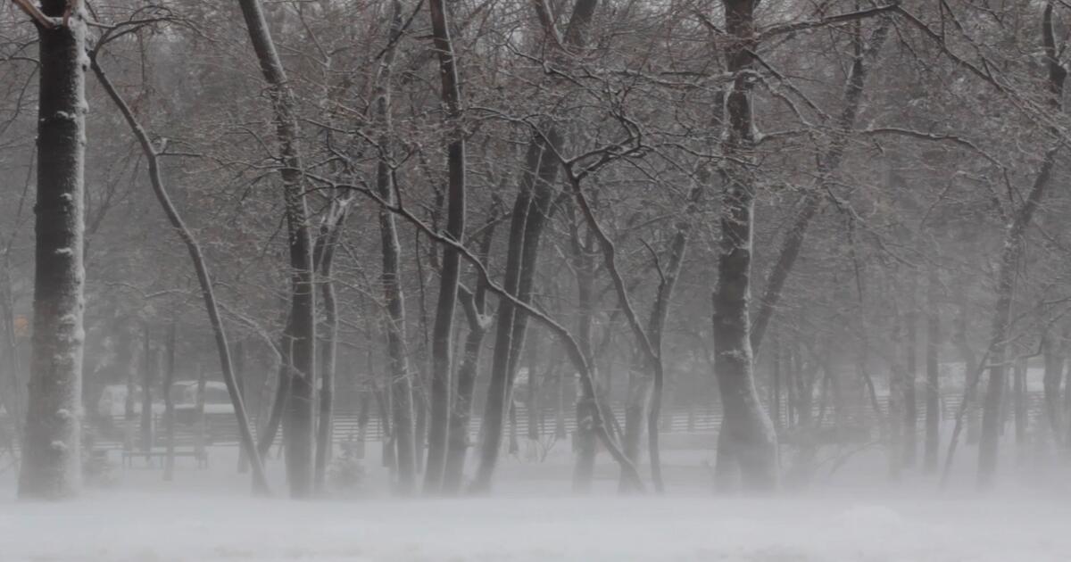 Wetter in Deutschland: Arktische Kälte mit bis minus 15 Grad am ...