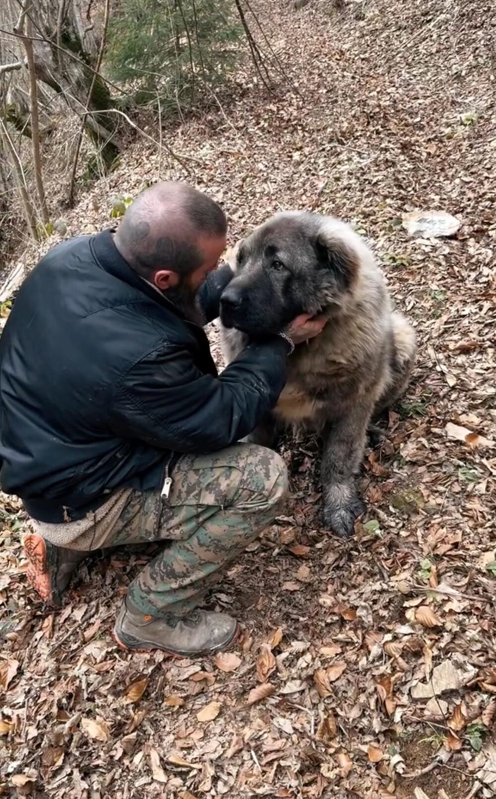 Wie der "Godfather of Dogs" Hunderten Straßenhunden hilft | 1&1