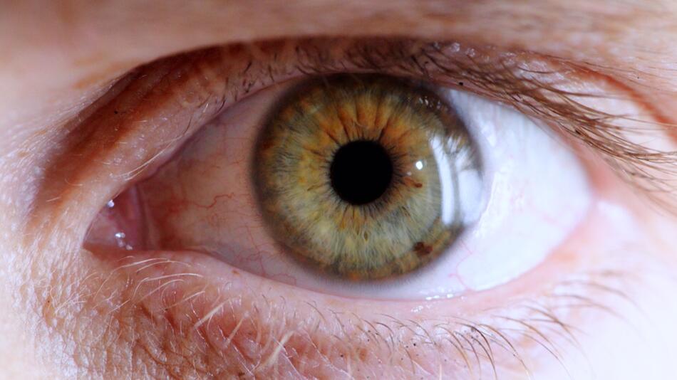 Braun Grne Augen