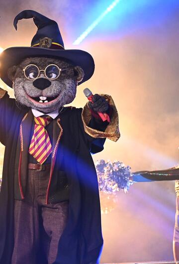 "The Masked Singer": Hinter "Harry Otter" verbirgt sich eine Sensation ...