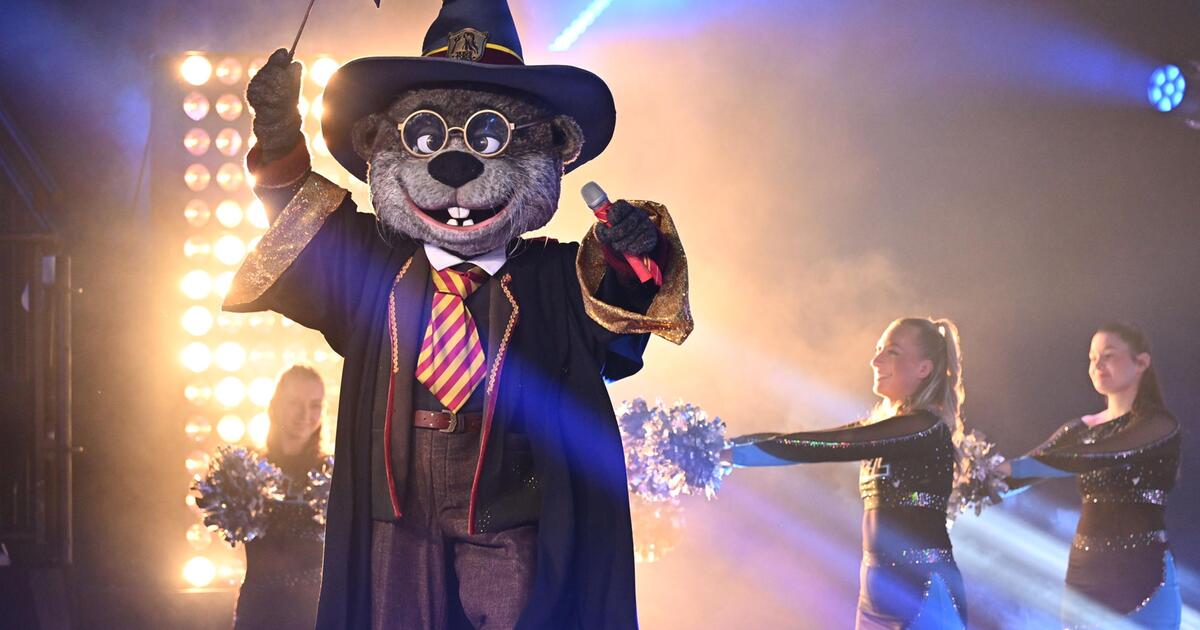 "The Masked Singer": Hinter "Harry Otter" verbirgt sich eine Sensation ...