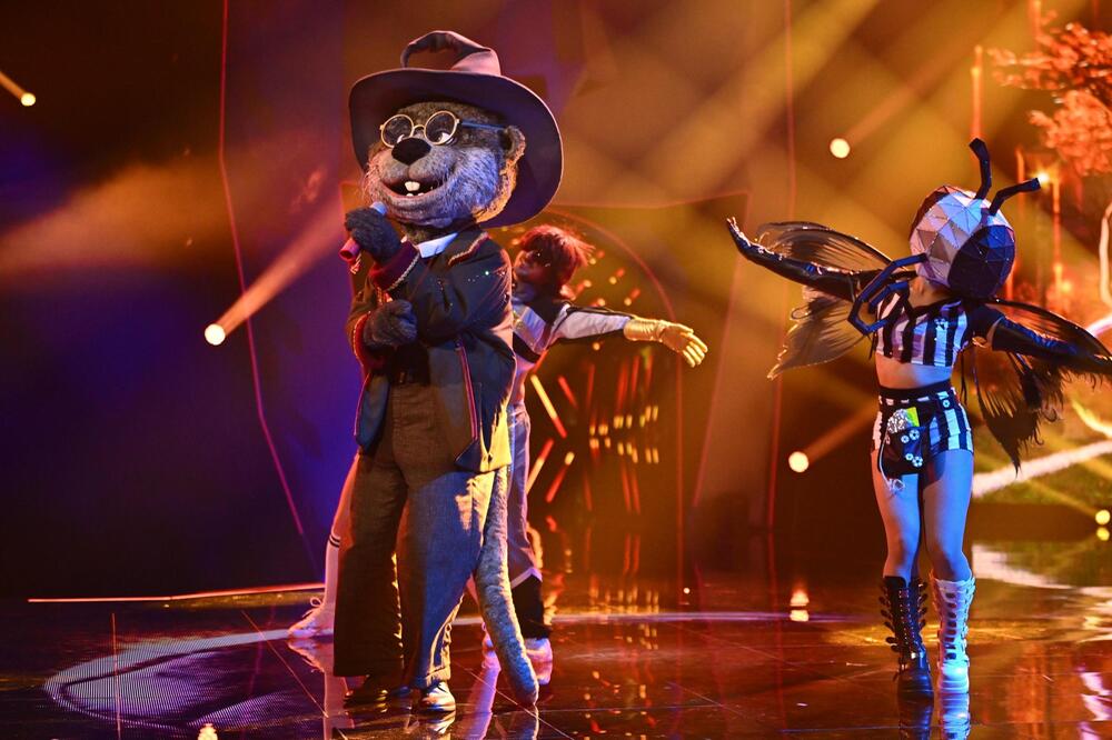 "The Masked Singer": Hinter "Harry Otter" verbirgt sich eine Sensation ...