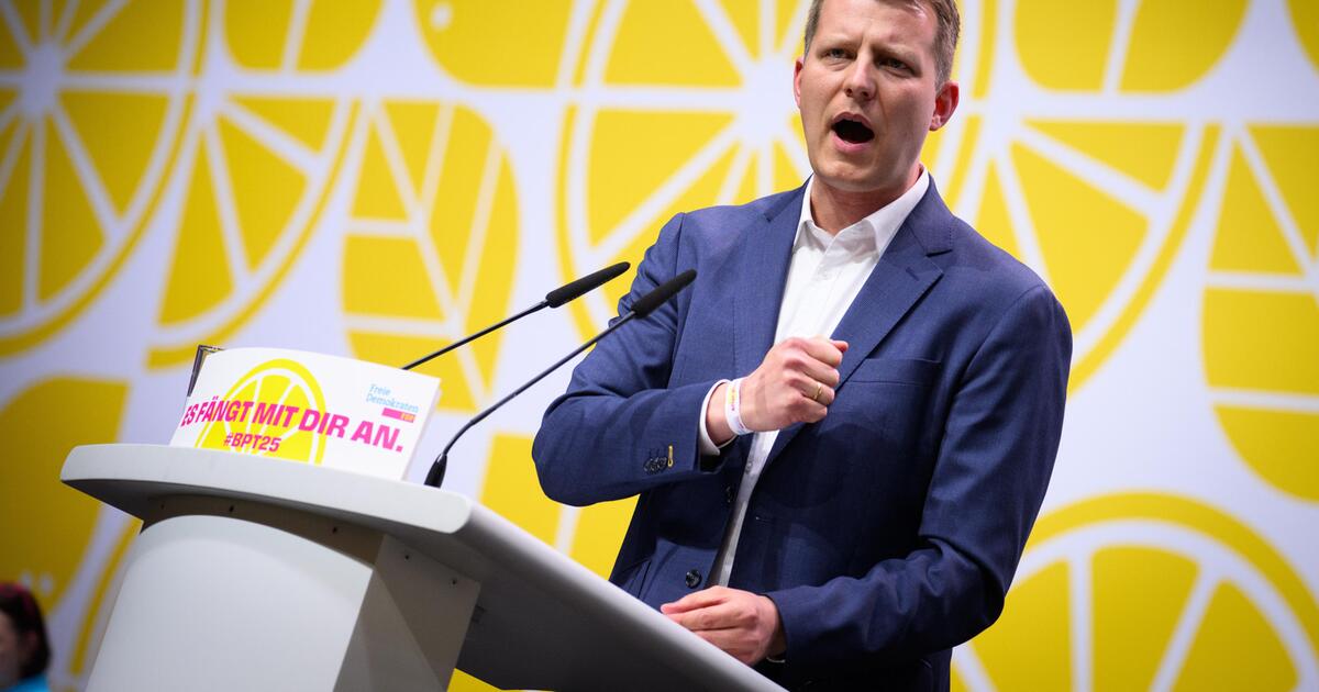 FDP-Vize: "Friedrich Merz ist wie Angela Merkel" | 1&1