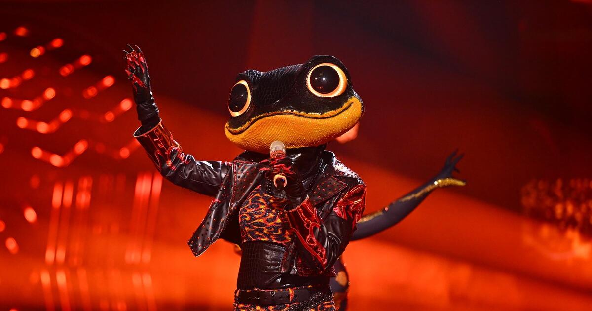 "The Masked Singer": Diese beiden Promis sind ausgeschieden | 1&1