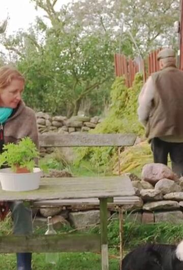 "Bauer sucht Frau International": Landwirt flieht nach Abfuhr | 1&1