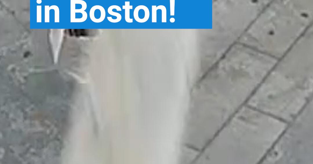 Knapp entkommen: Schockmoment für Passanten | 1&1