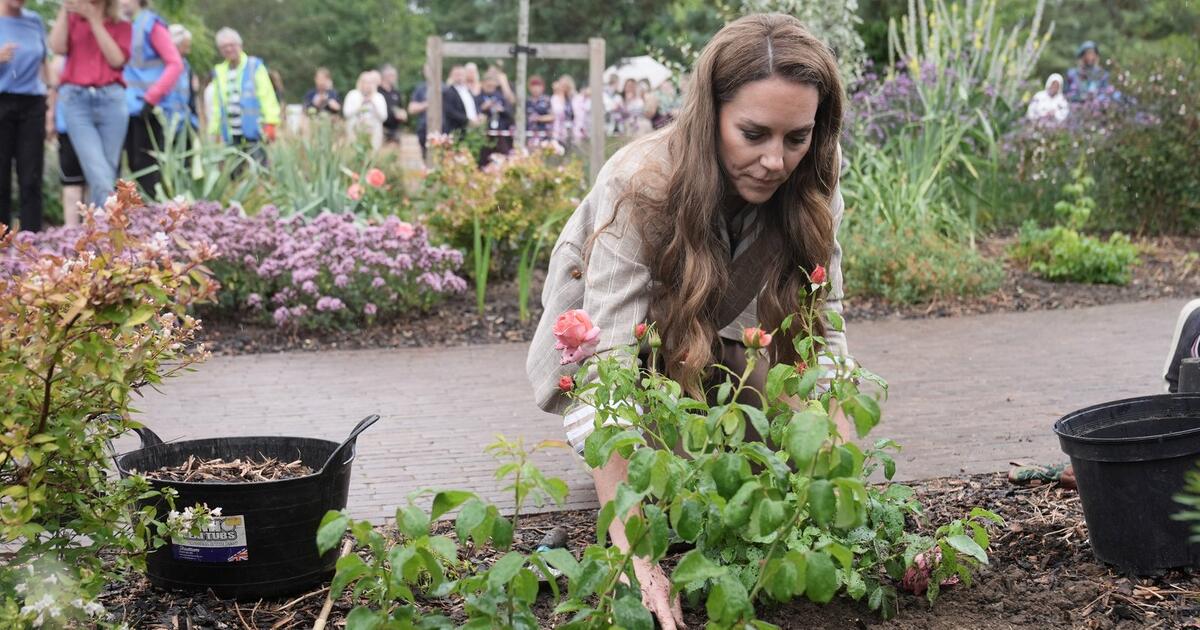 Kate spricht offen über Krebserkrankung: Genesung ist "Achterbahnfahrt ...