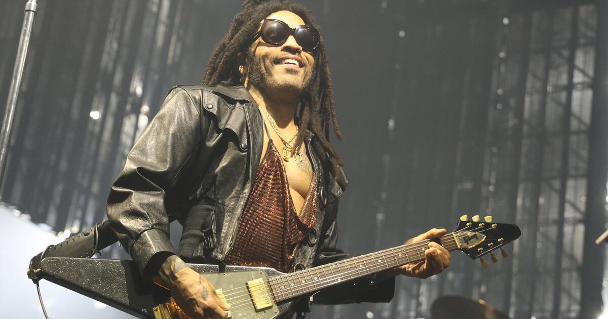 Fan reißt Lenny Kravitz bei Konzert Dreadlocks aus dem Kopf | 1&1